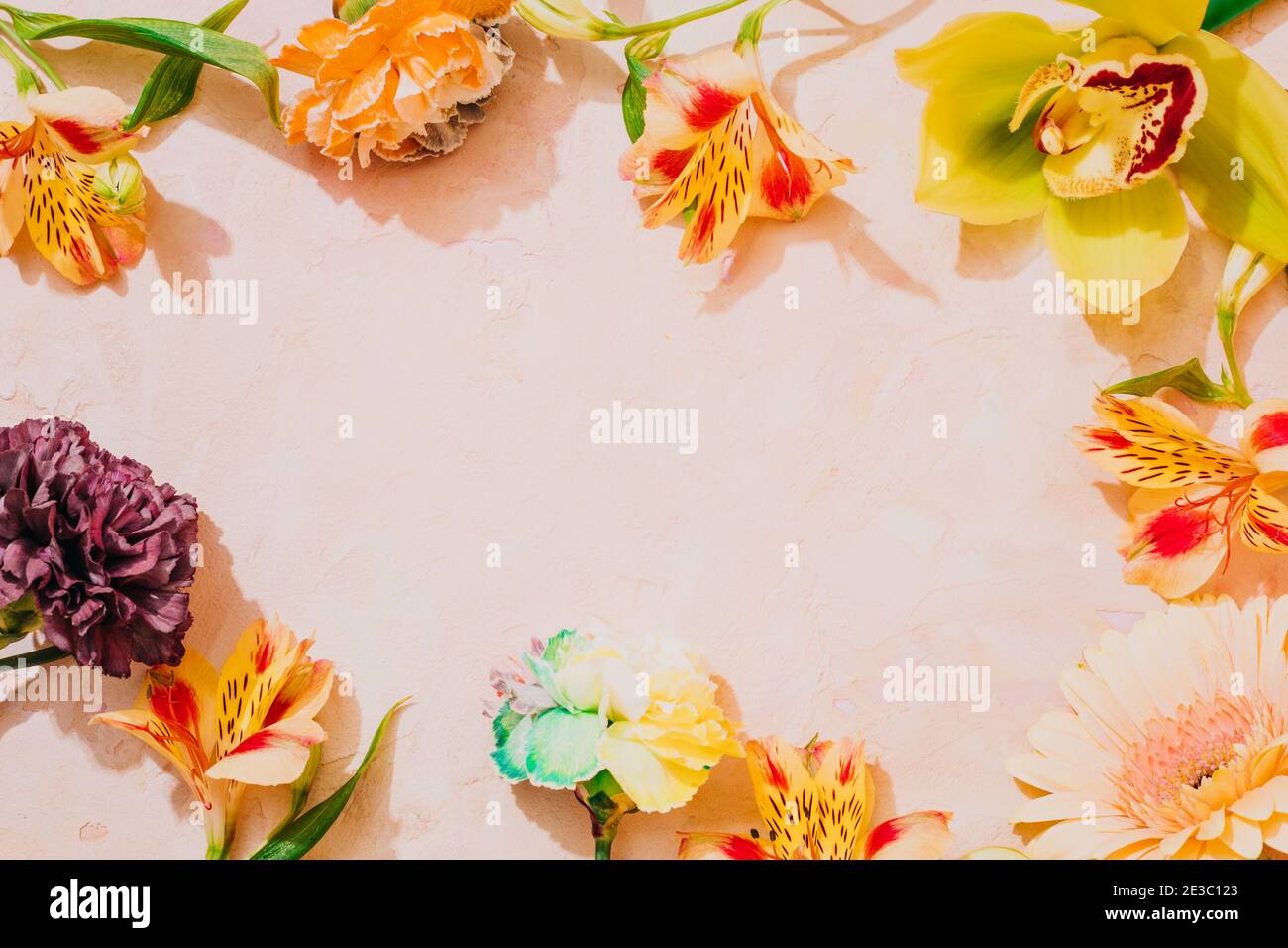Fresh flowers frame on pink background Stock Photo - Alamy