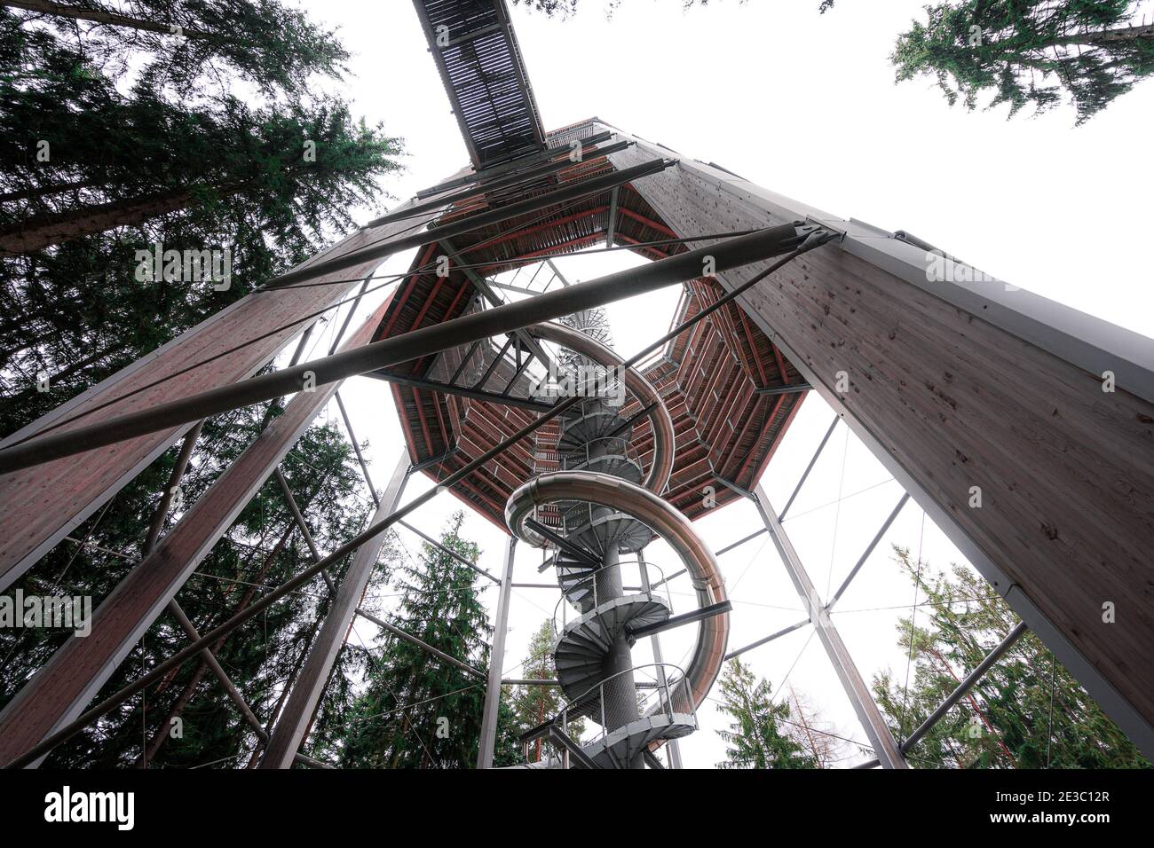 Treetop walkway tower in Lipno nad Vltavou (stezka korunami stromu ...