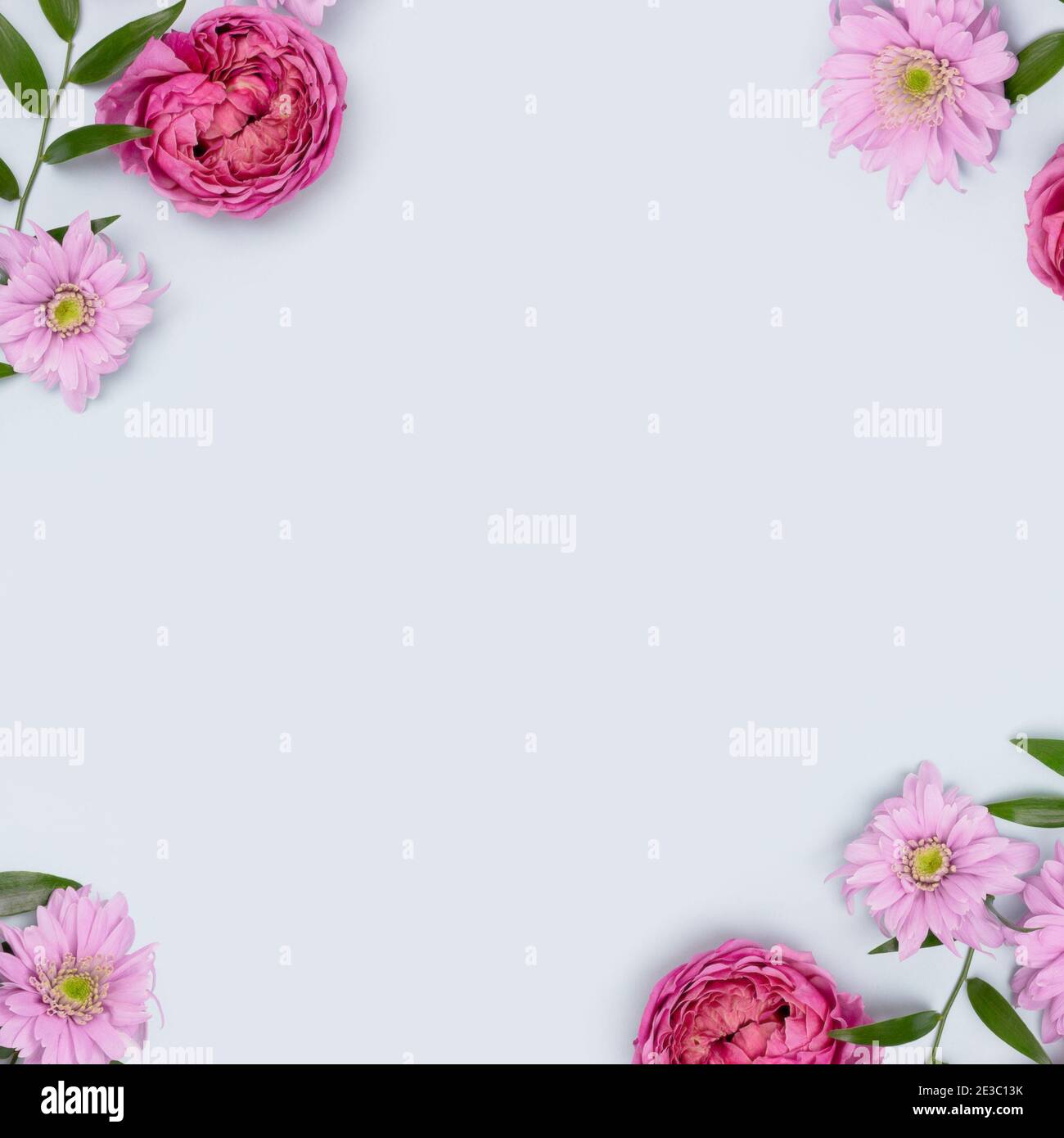 Square frame made of aster, rose flowers and green leaves on a blue ...