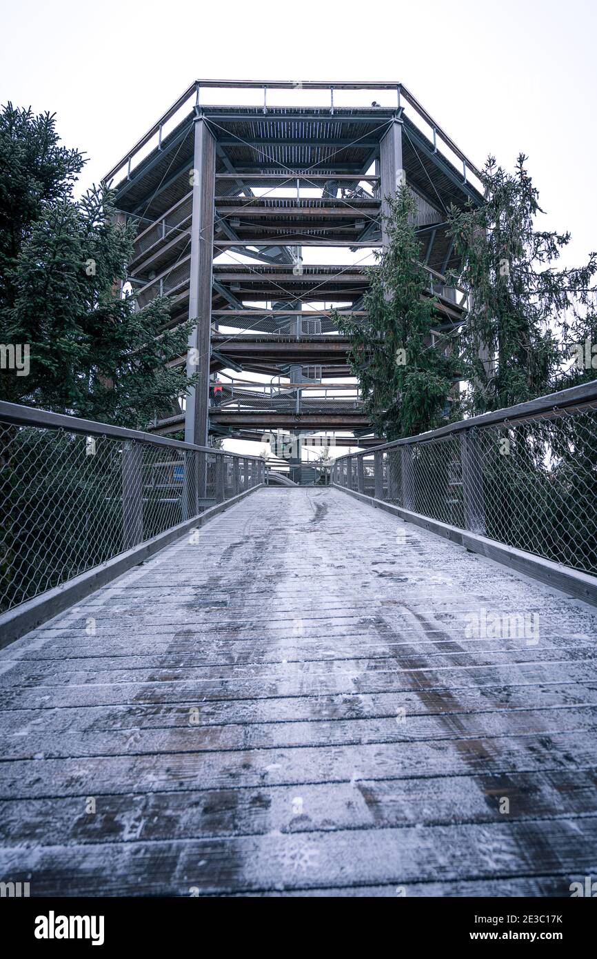 Treetop walkway tower in Lipno nad Vltavou (stezka korunami stromu ...