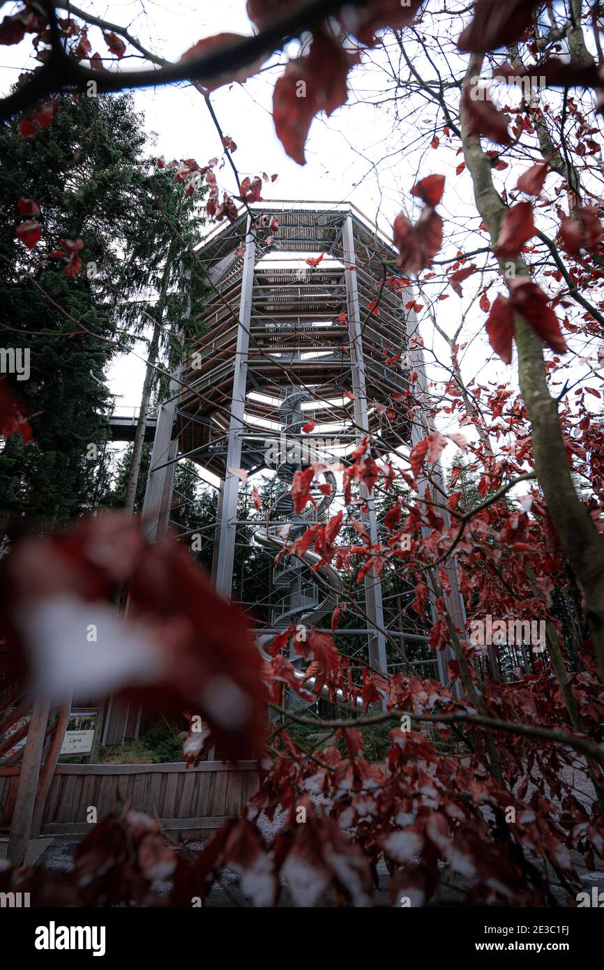 Treetop walkway tower in Lipno nad Vltavou (stezka korunami stromu ...
