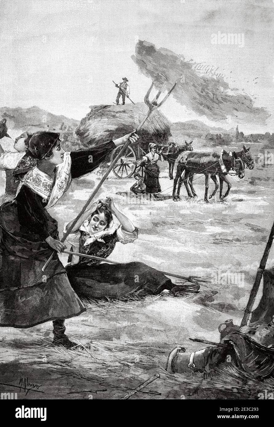 Editorial images vertical farming hi-res stock photography and images ...