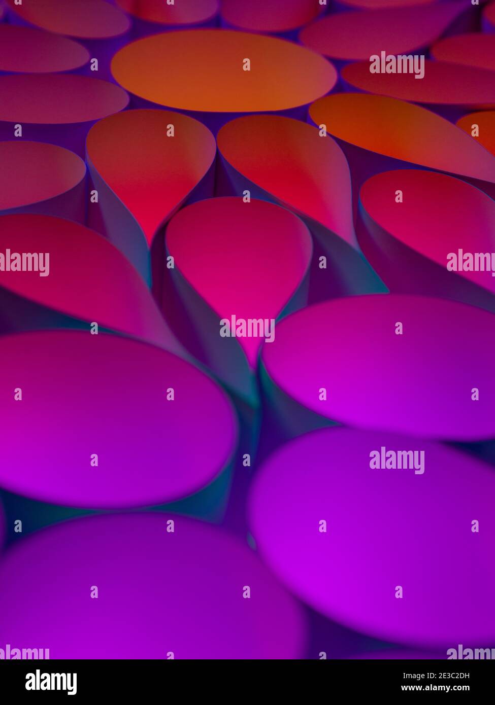 Studio shot of a detail white paper illuminated with red and blue ...