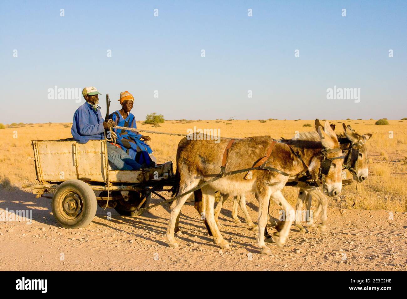 Vehicle pulled by an animal hi-res stock photography and images - Alamy
