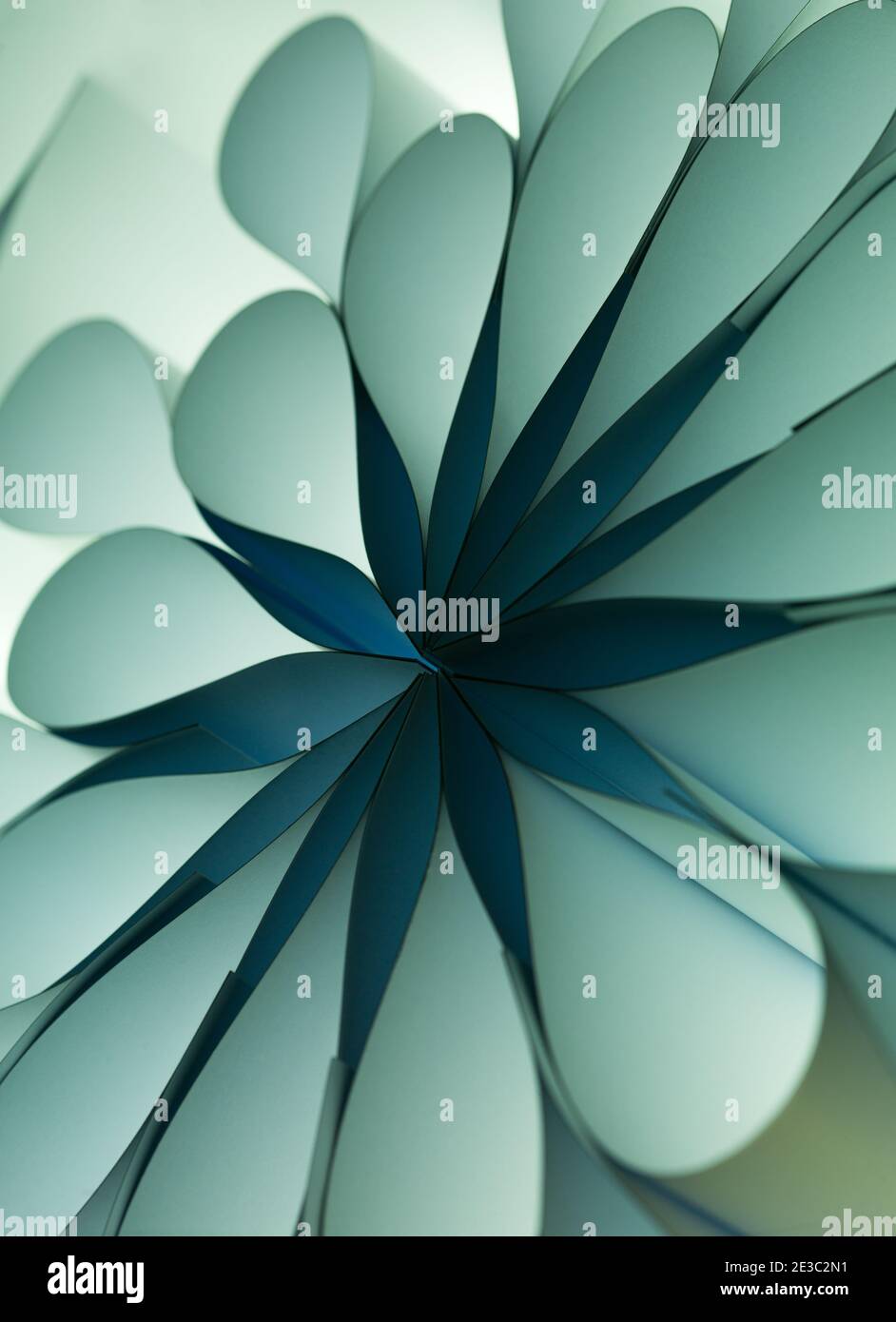 Handmade paper art white flower from elliptical shapes Stock Photo - Alamy