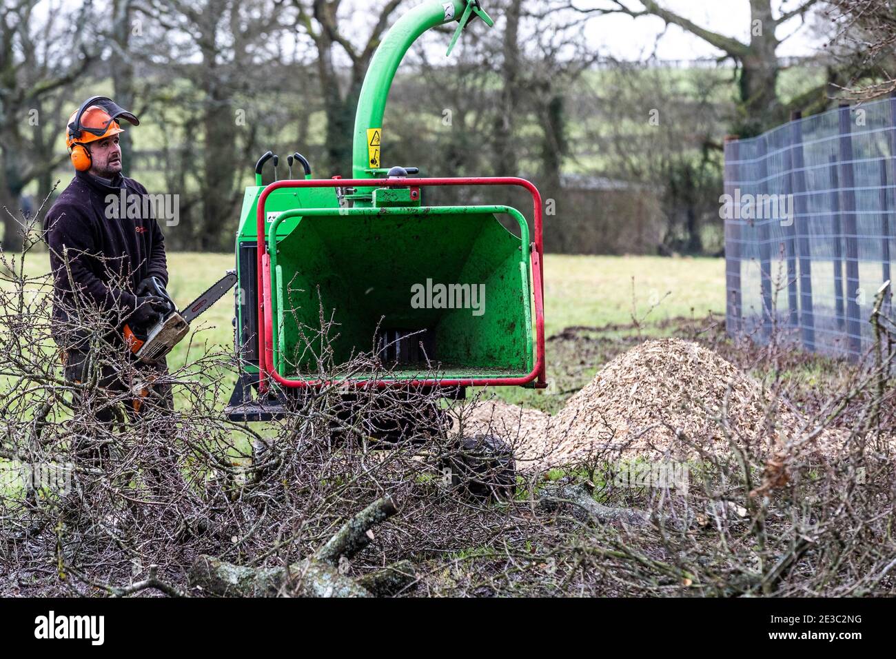 Two bothers, Dave and Steve Kenworthy of Evolution Trees. Working on an ...