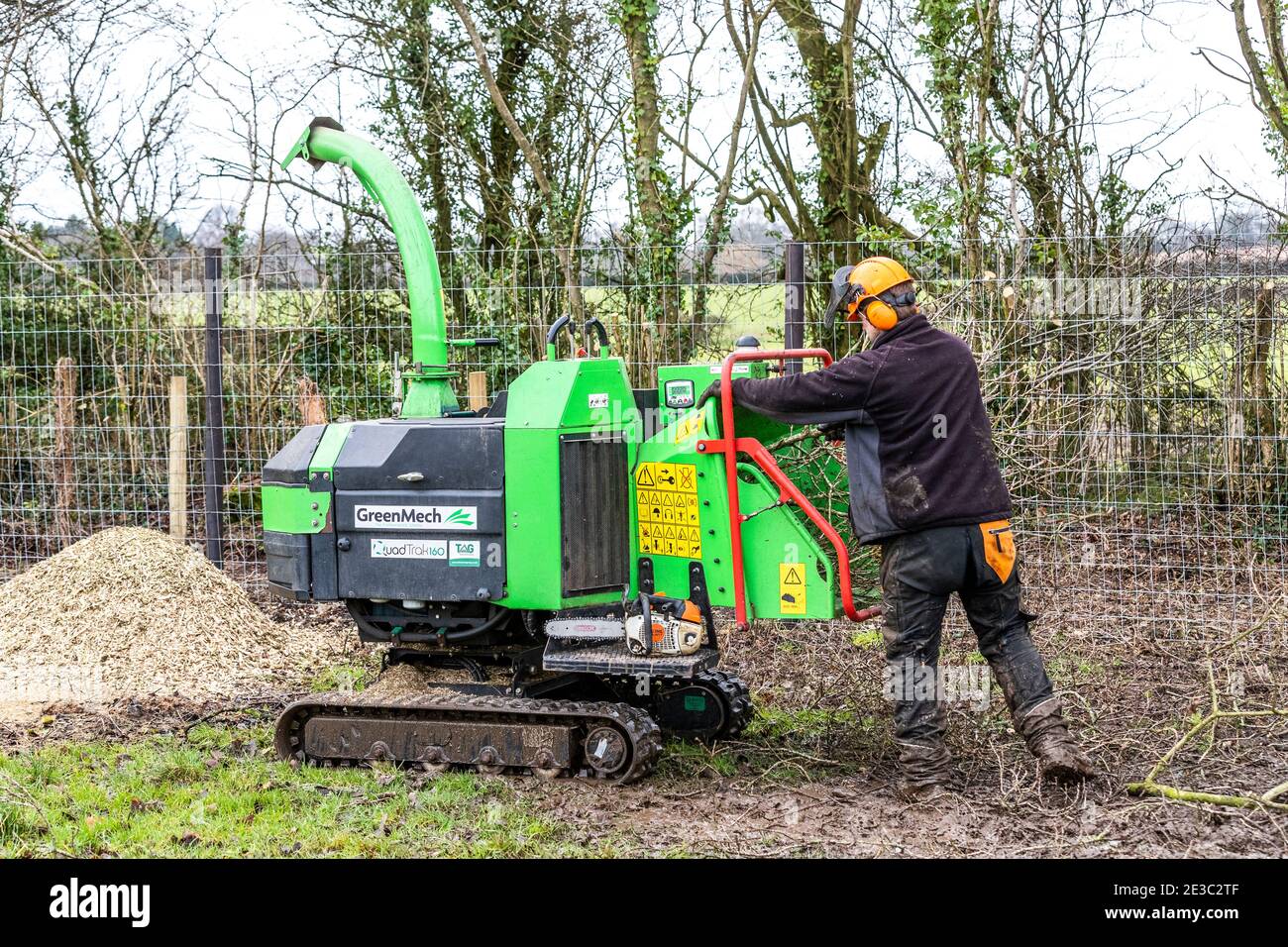 Two bothers, Dave and Steve Kenworthy of Evolution Trees. Working on an ...