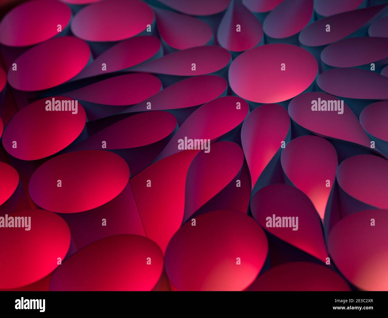 Studio shot macro detail white paper flower illuminated with red and ...