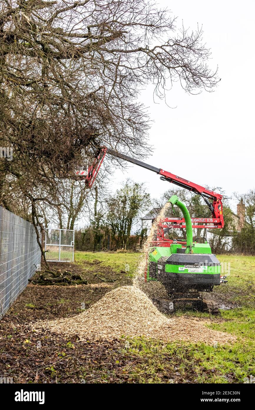 Two bothers, Dave and Steve Kenworthy of Evolution Trees. Working on an ...