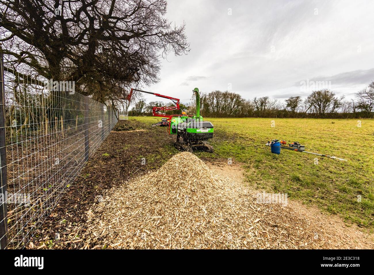Two bothers, Dave and Steve Kenworthy of Evolution Trees. Working on an ...