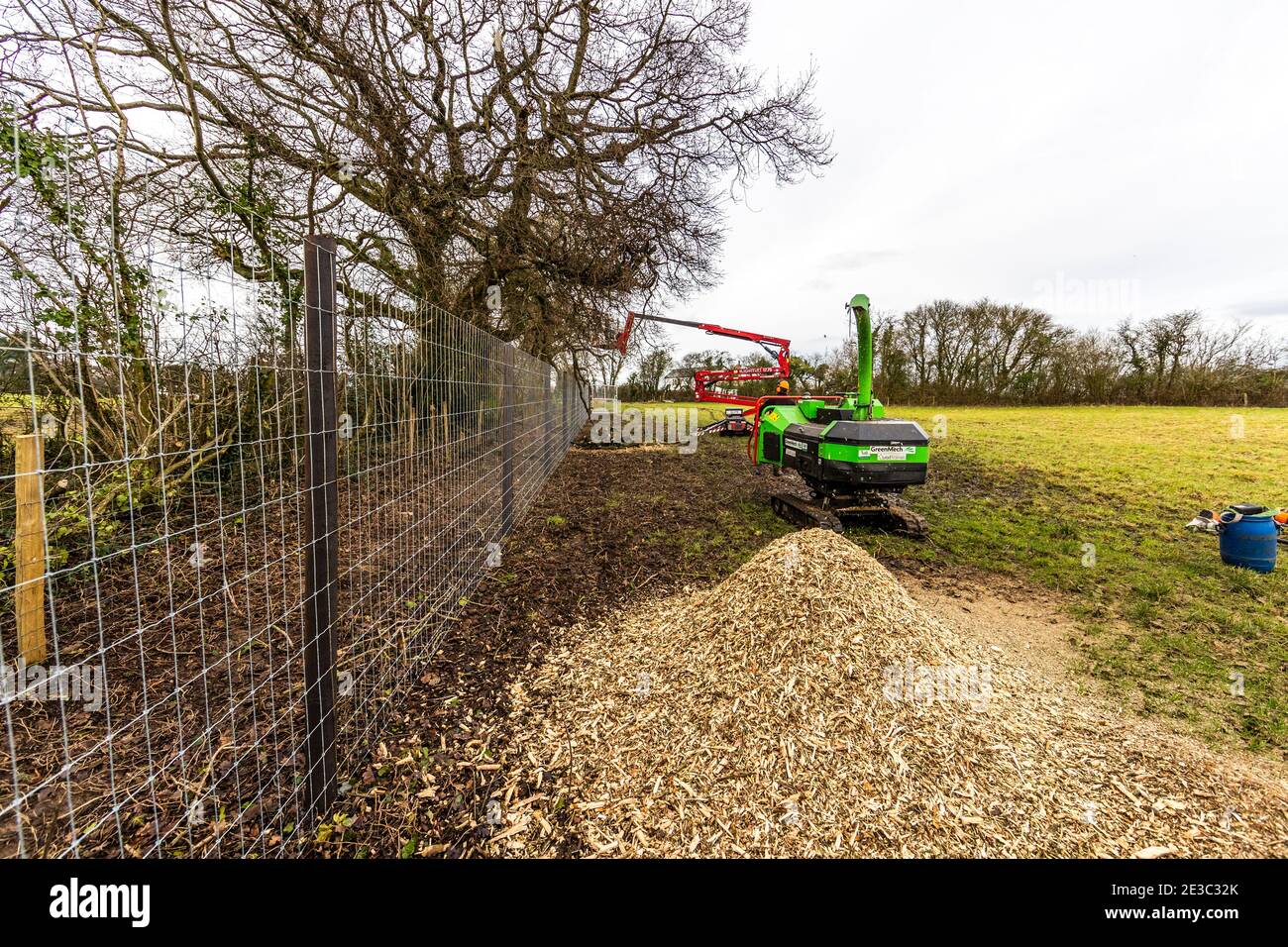Two bothers, Dave and Steve Kenworthy of Evolution Trees. Working on an ...