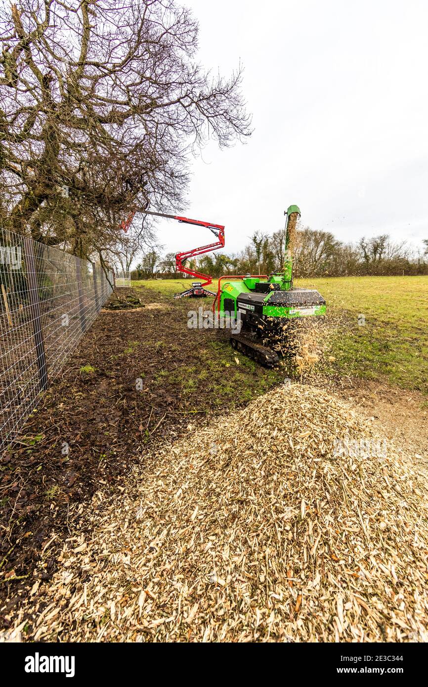 Two bothers, Dave and Steve Kenworthy of Evolution Trees. Working on an ...