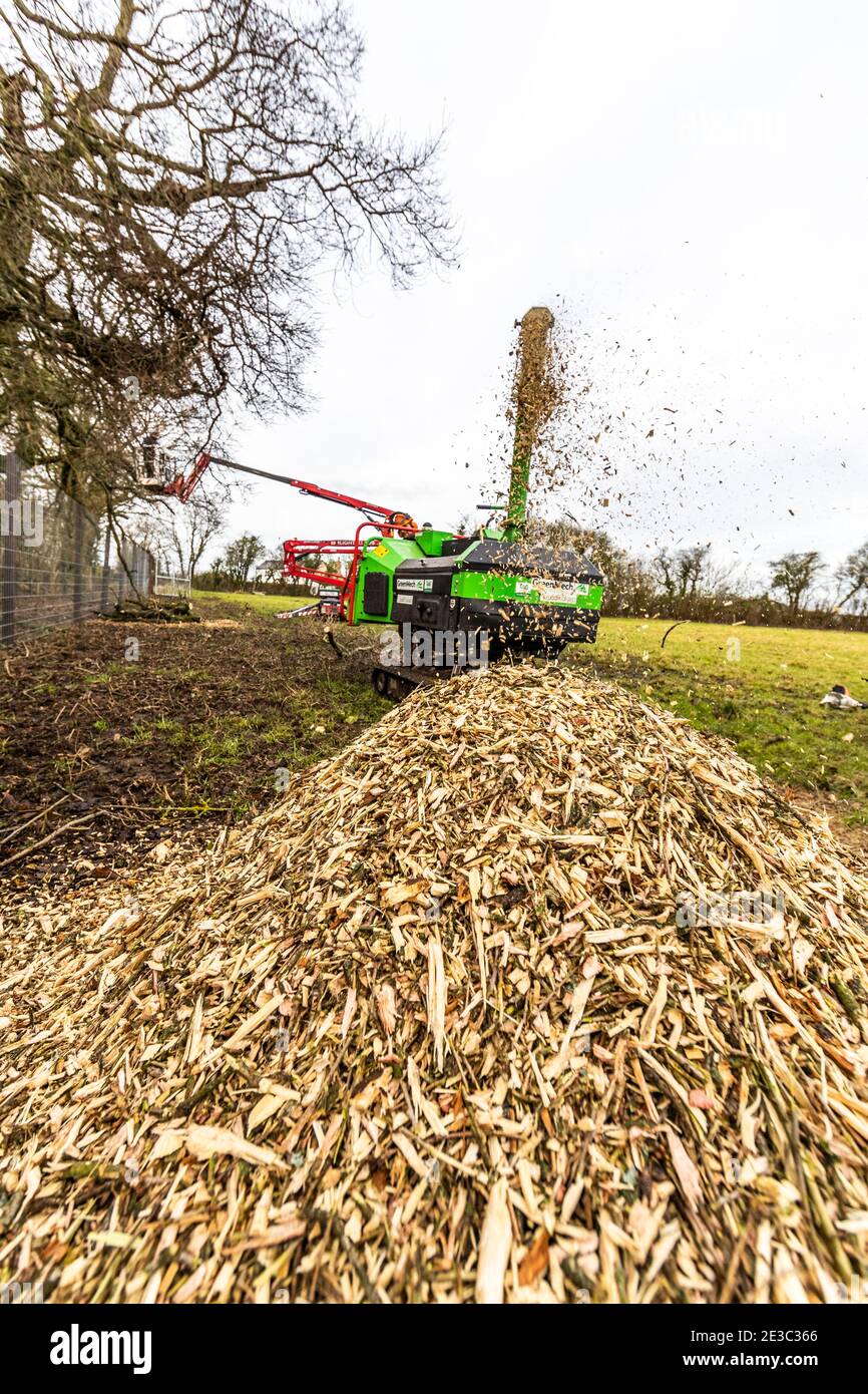 Two bothers, Dave and Steve Kenworthy of Evolution Trees. Working on an ...