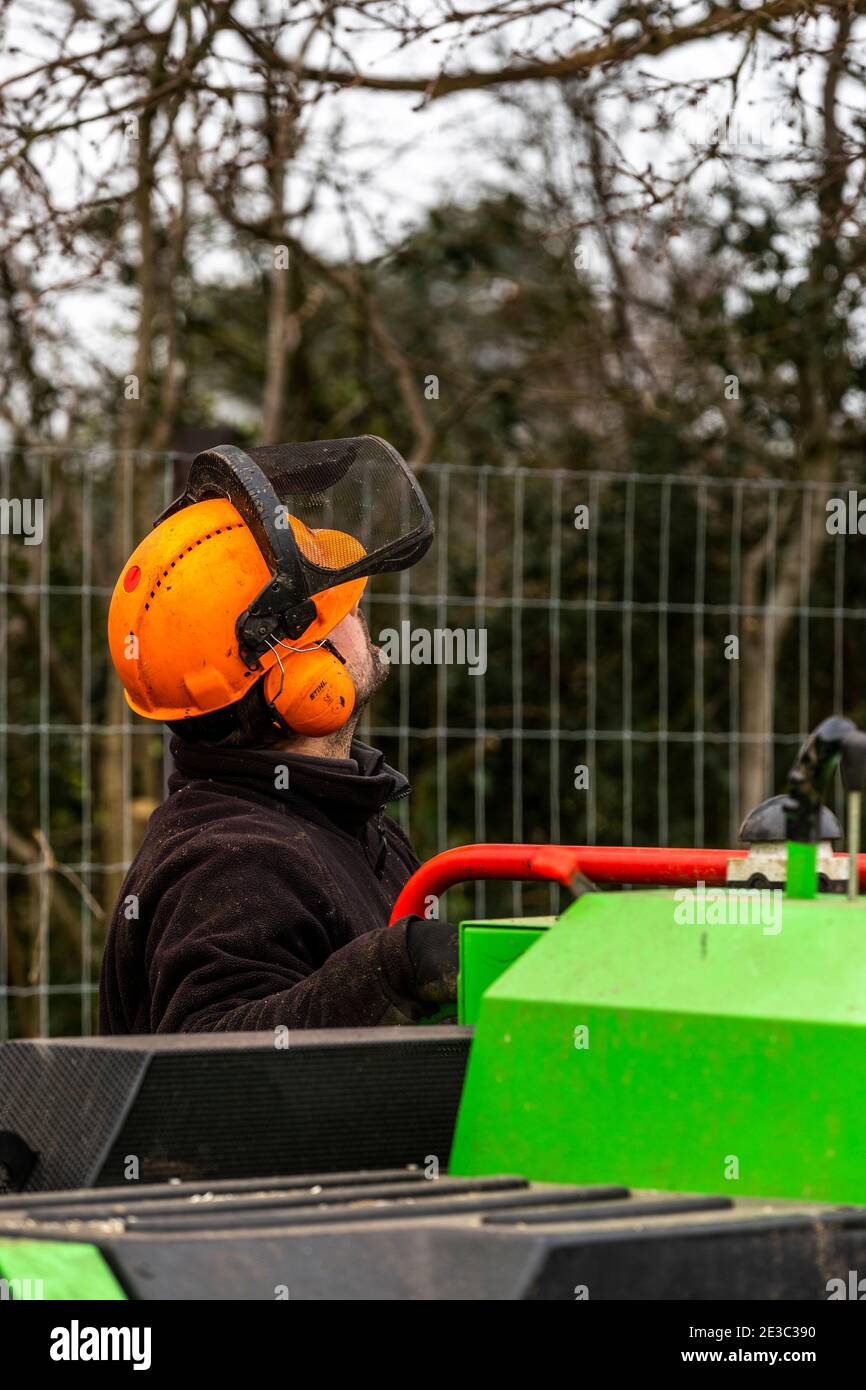 Two bothers, Dave and Steve Kenworthy of Evolution Trees. Working on an ...