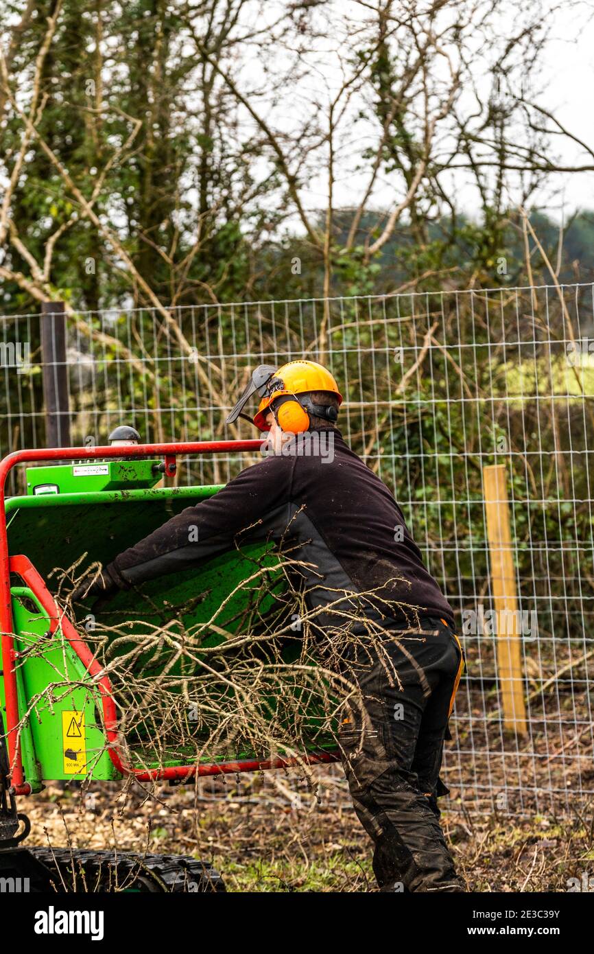 Two bothers, Dave and Steve Kenworthy of Evolution Trees. Working on an ...