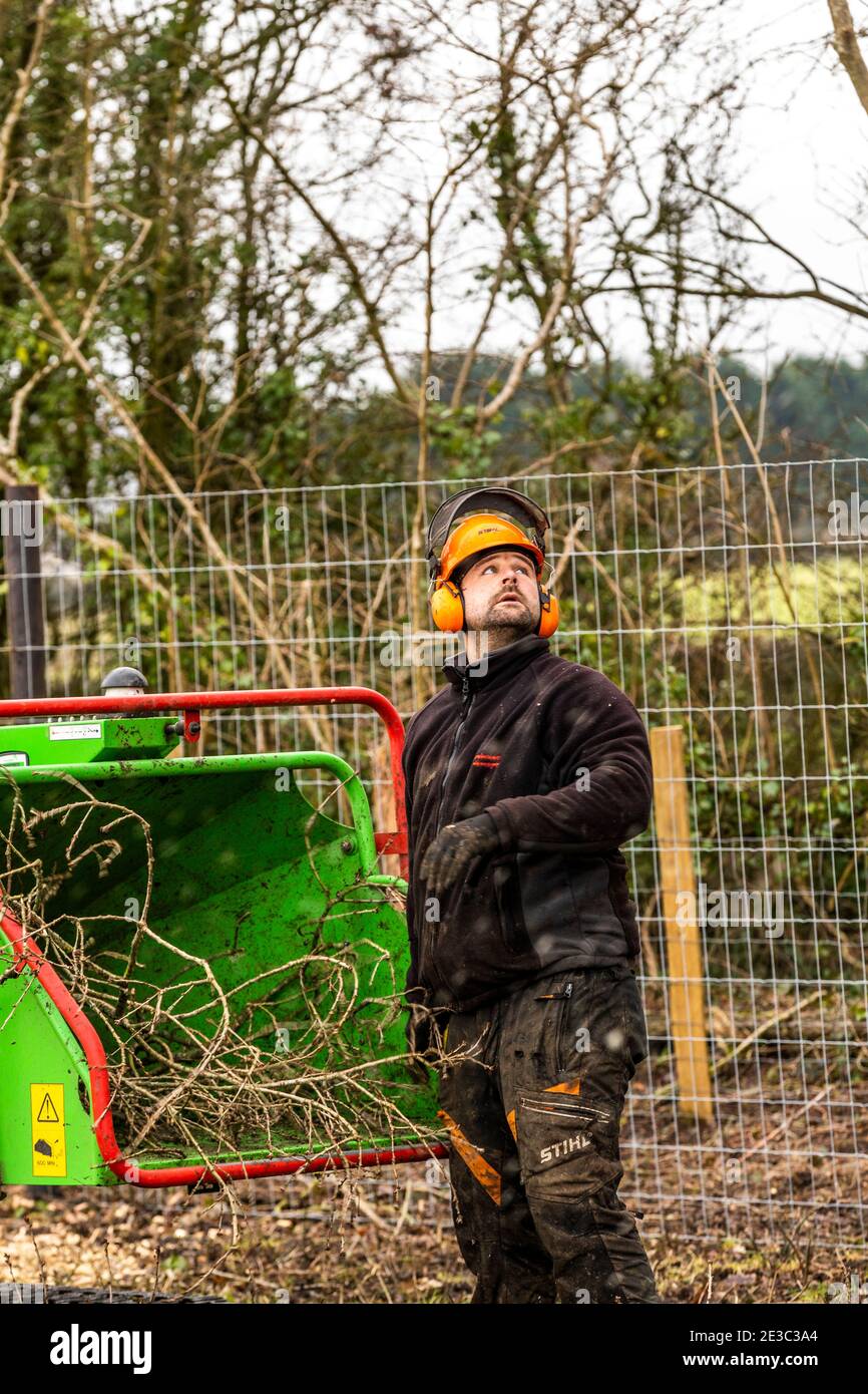 Two bothers, Dave and Steve Kenworthy of Evolution Trees. Working on an ...