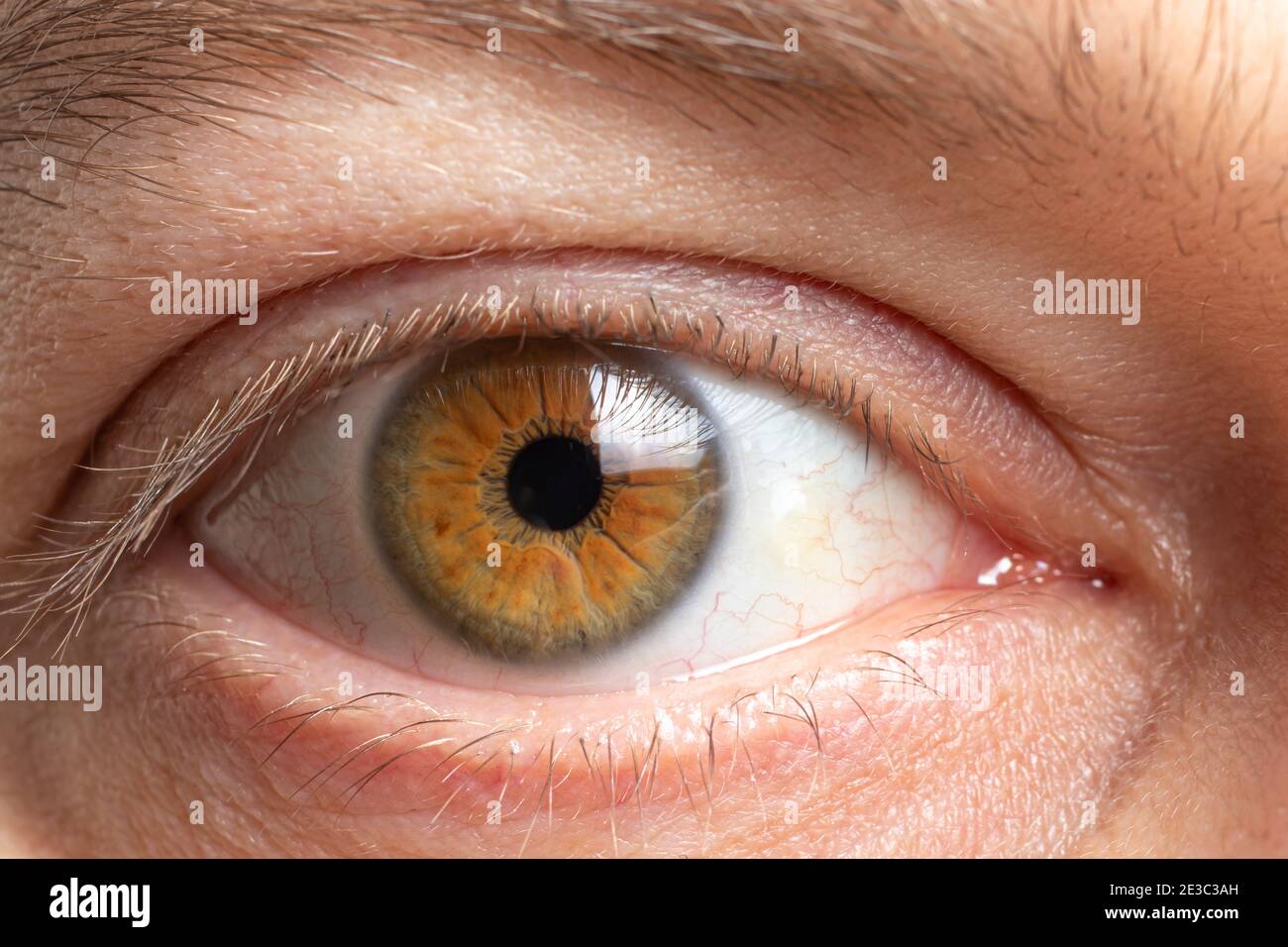 Macro photo of the male eye is brown. Healthy Human Eye Stock Photo - Alamy