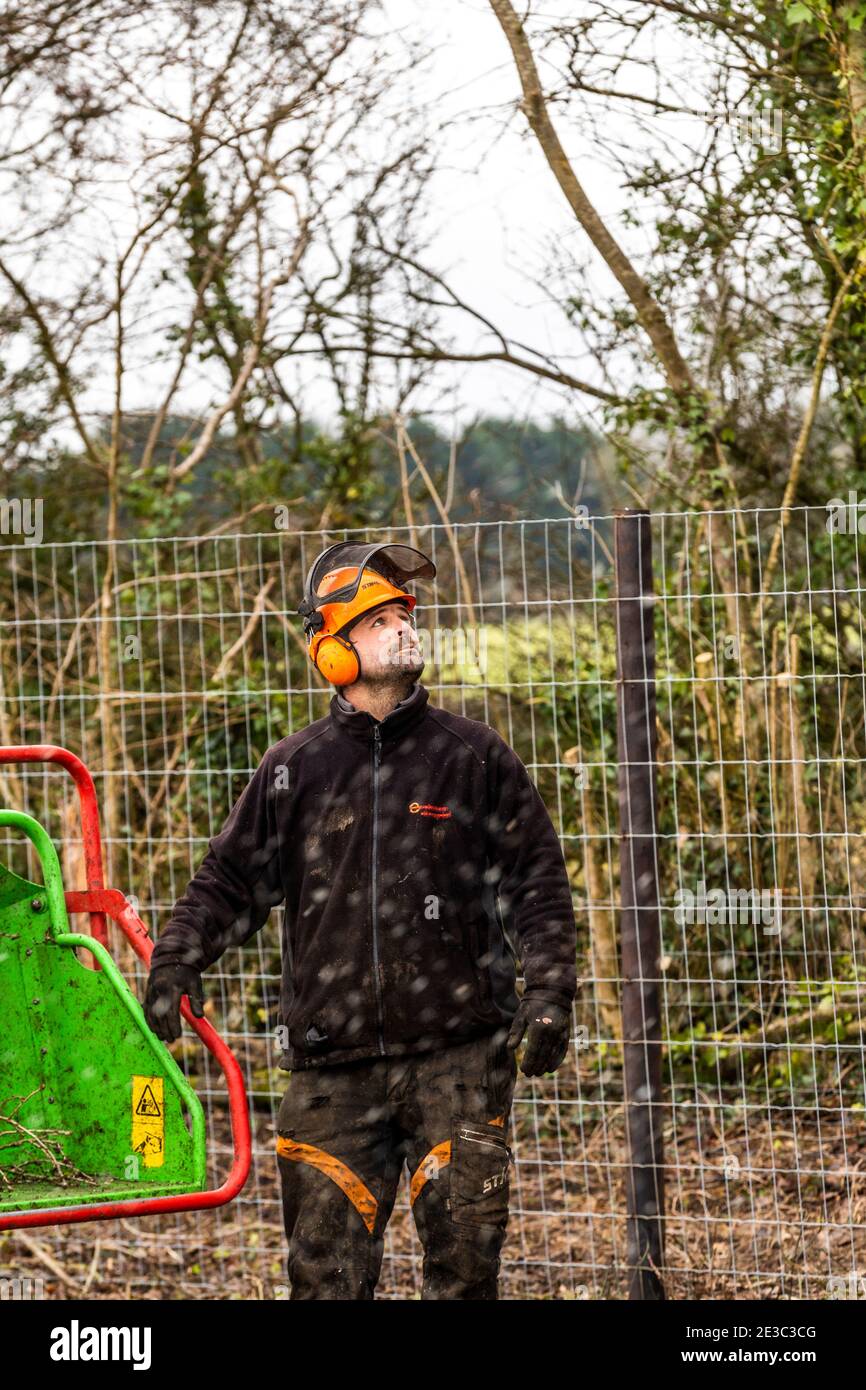 Two bothers, Dave and Steve Kenworthy of Evolution Trees. Working on an ...