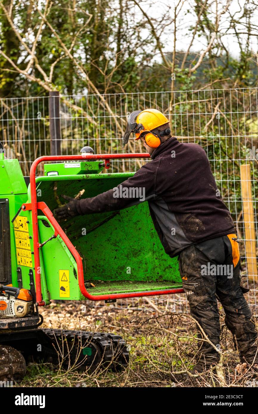 Two bothers, Dave and Steve Kenworthy of Evolution Trees. Working on an ...