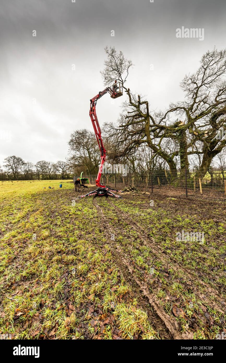 Steve Kenworthy High Resolution Stock Photography and Images - Alamy