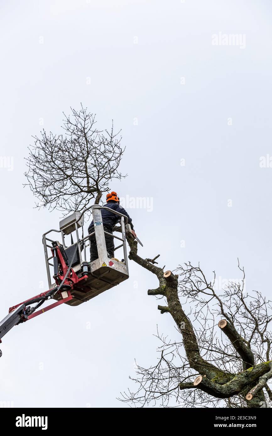 Dave and steve kenworthy hi-res stock photography and images - Alamy