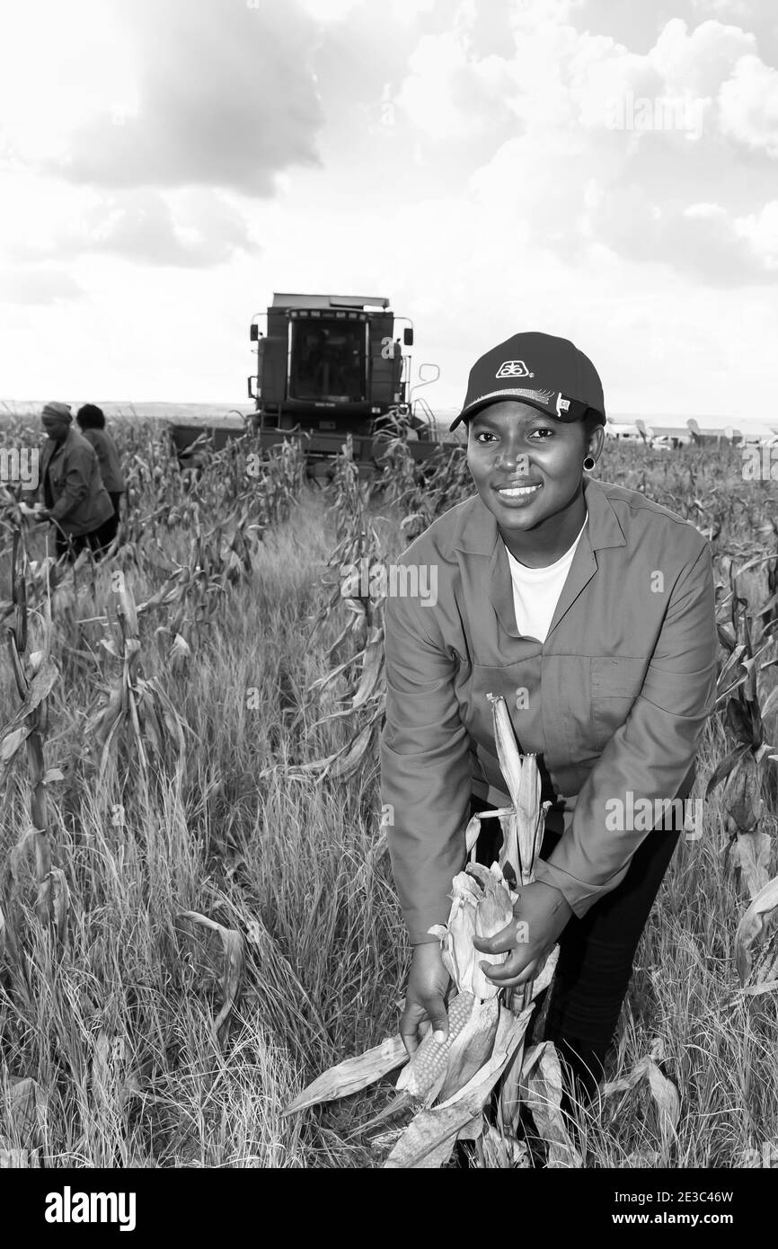 WITB, SOUTH AFRICA - Jan 05, 2021: Witbank, South Africa - May 26 2016 ...