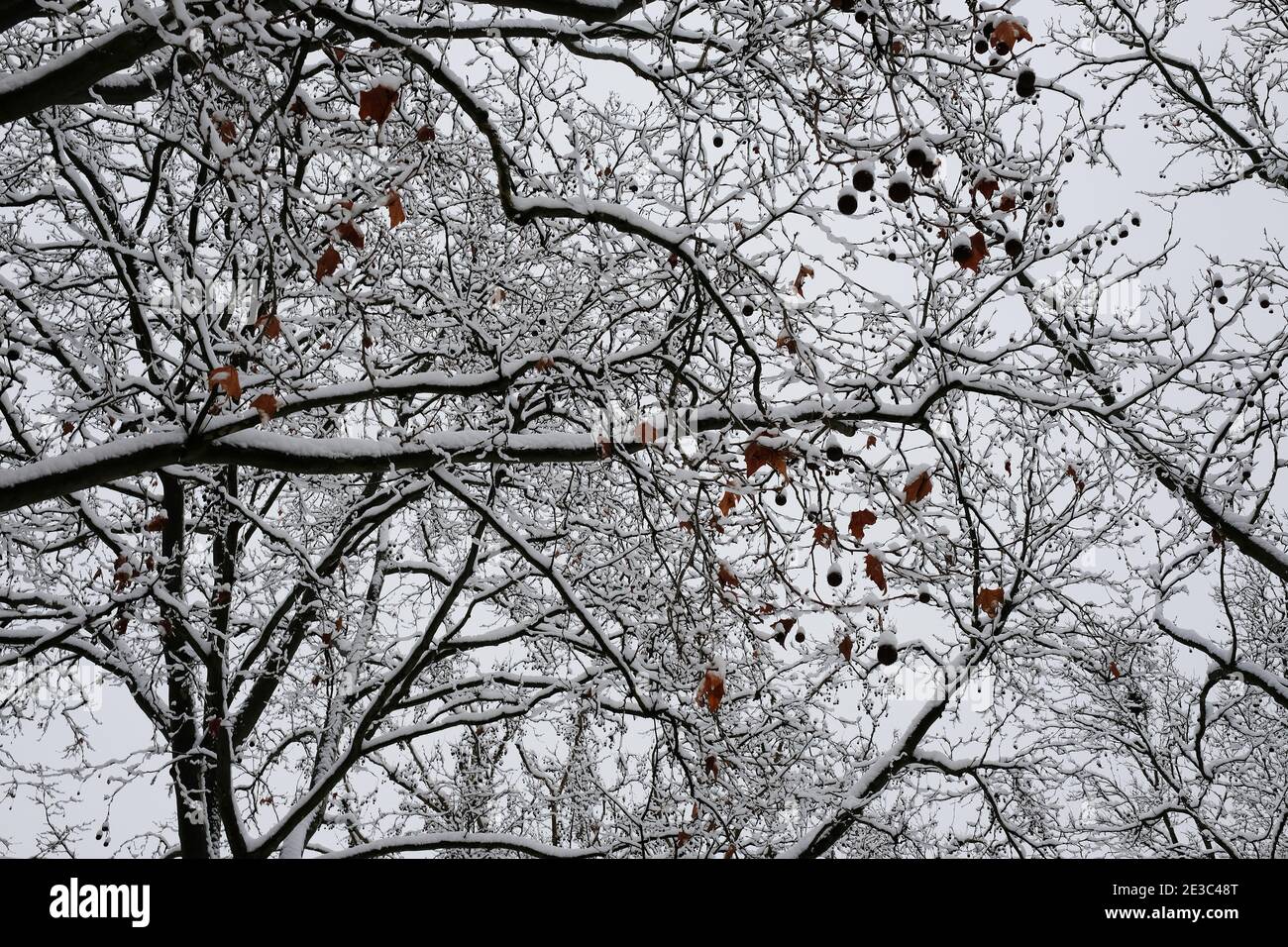 Kannenfeldpark basel hi-res stock photography and images - Alamy