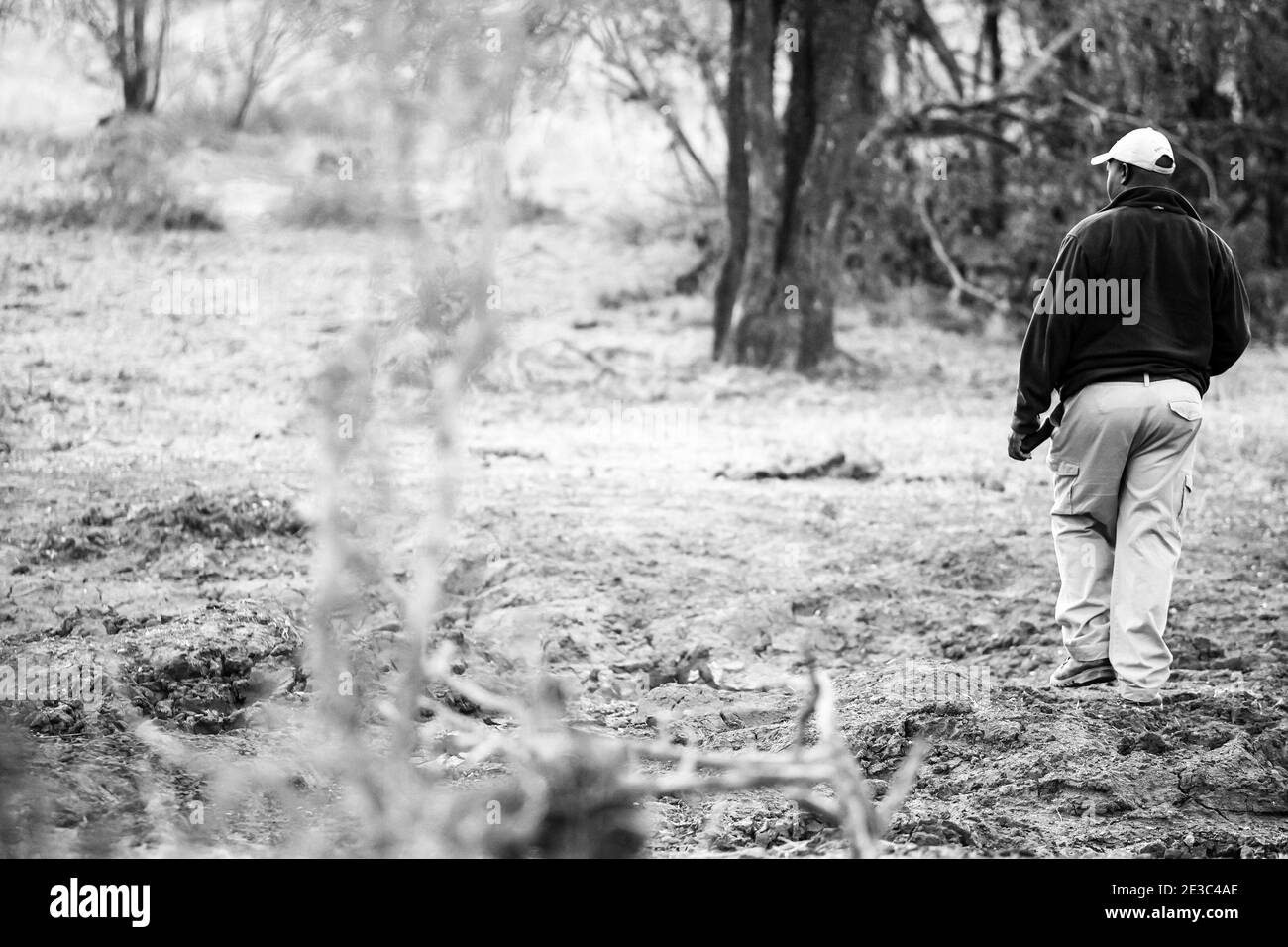 Wildlife guides in desert hi-res stock photography and images - Alamy