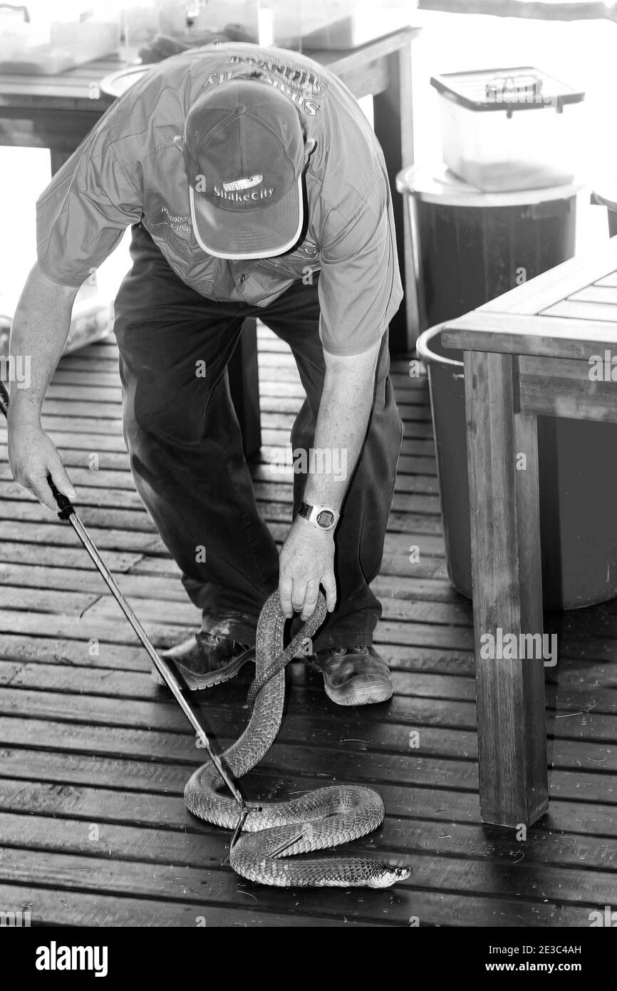 Nelspruit Black and White Stock Photos & Images - Alamy