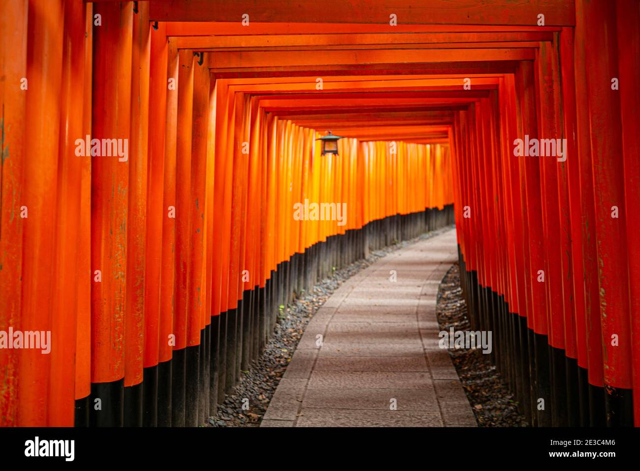 Fushimi Inari Temple walkways Stock Photo - Alamy