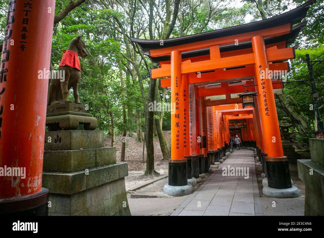 Fushimi Inari Temple walkways Stock Photo - Alamy
