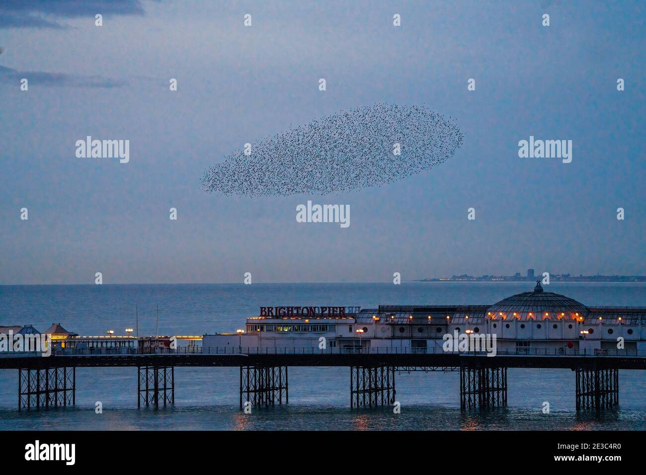 Starling murmuration brighton uk hi-res stock photography and images ...