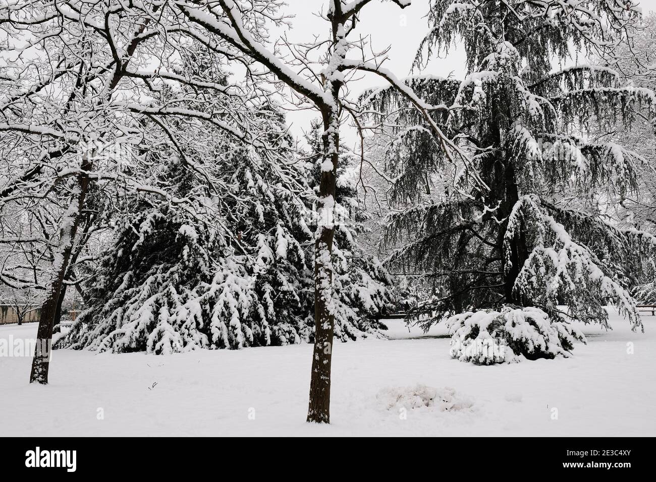Kannenfeldpark basel hi-res stock photography and images - Alamy