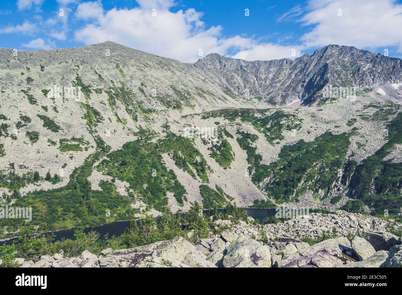 Ridge of trees hi-res stock photography and images - Alamy