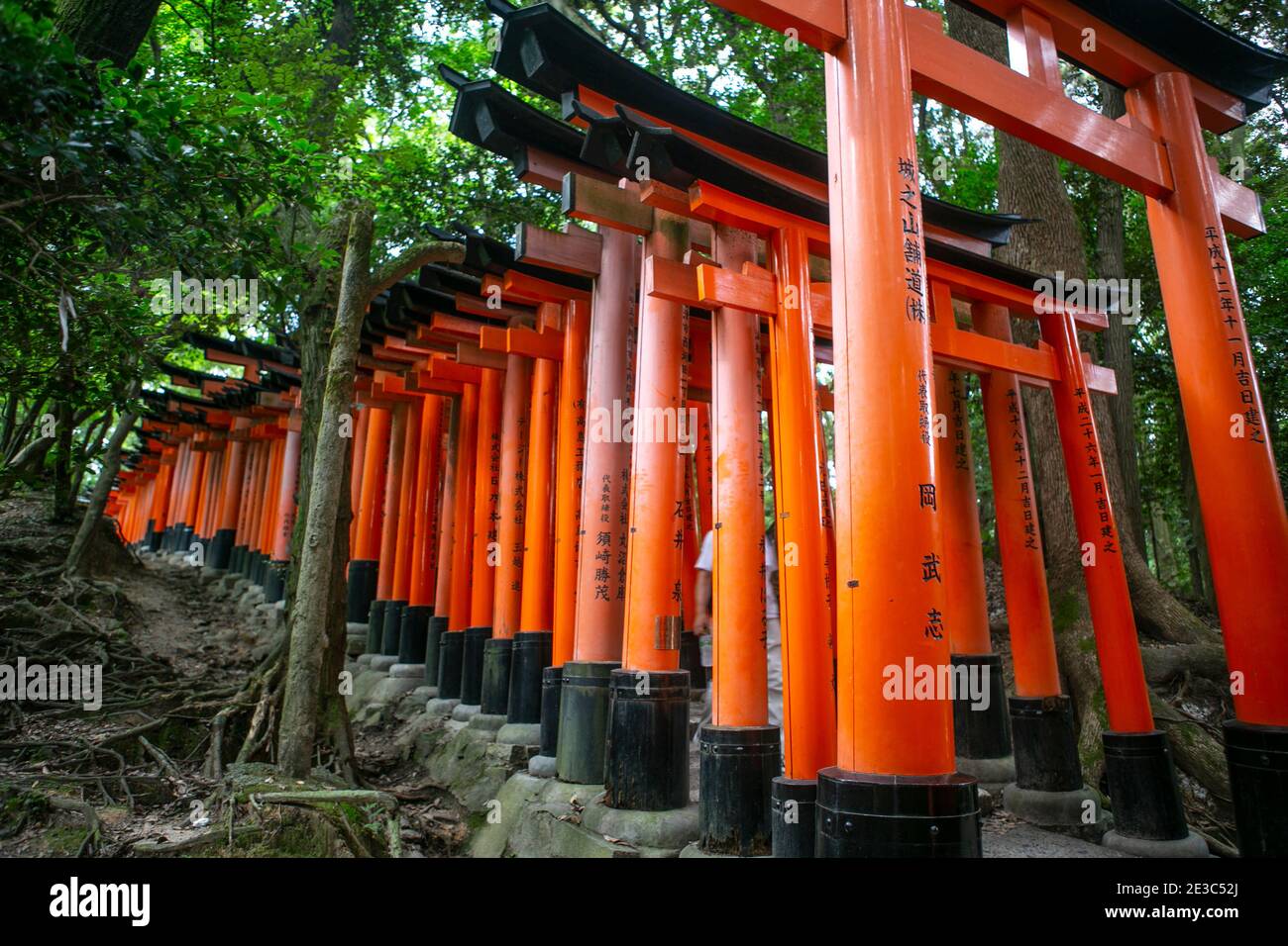 Fushimi Inari Temple walkways Stock Photo - Alamy