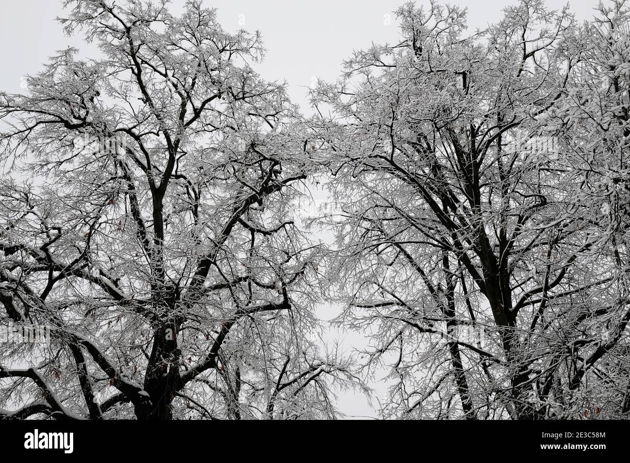 Kannenfeldpark basel hi-res stock photography and images - Alamy