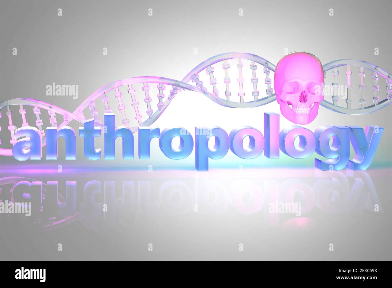 Word Anthropology with DNA and pink human skull, conceptual 3d ...