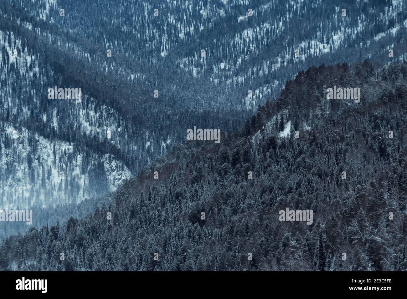 Hillside under trees hi-res stock photography and images - Alamy