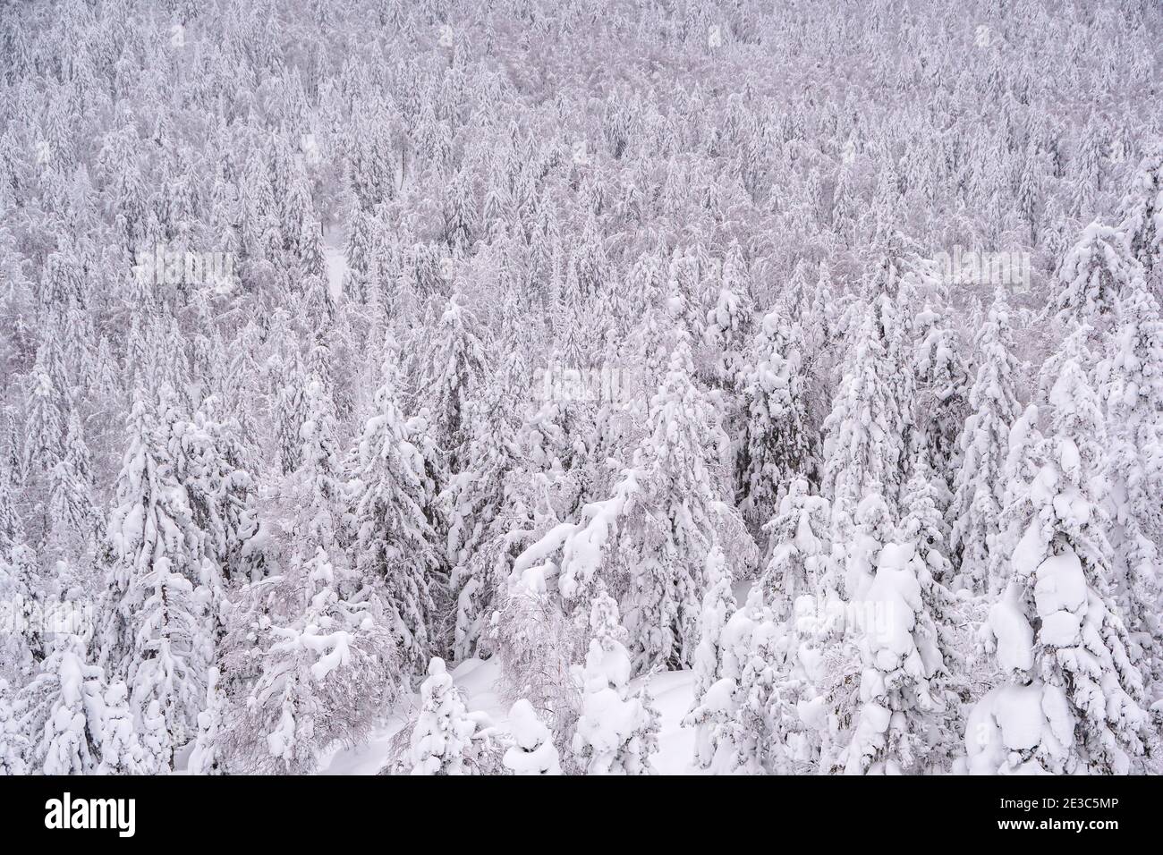 Hillside frozen hi-res stock photography and images - Alamy