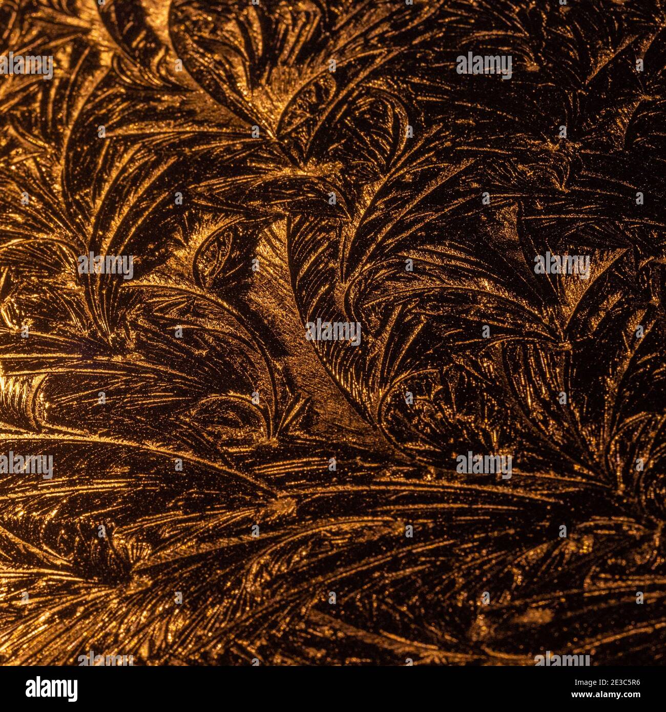 Fractal patterns hi-res stock photography and images - Alamy