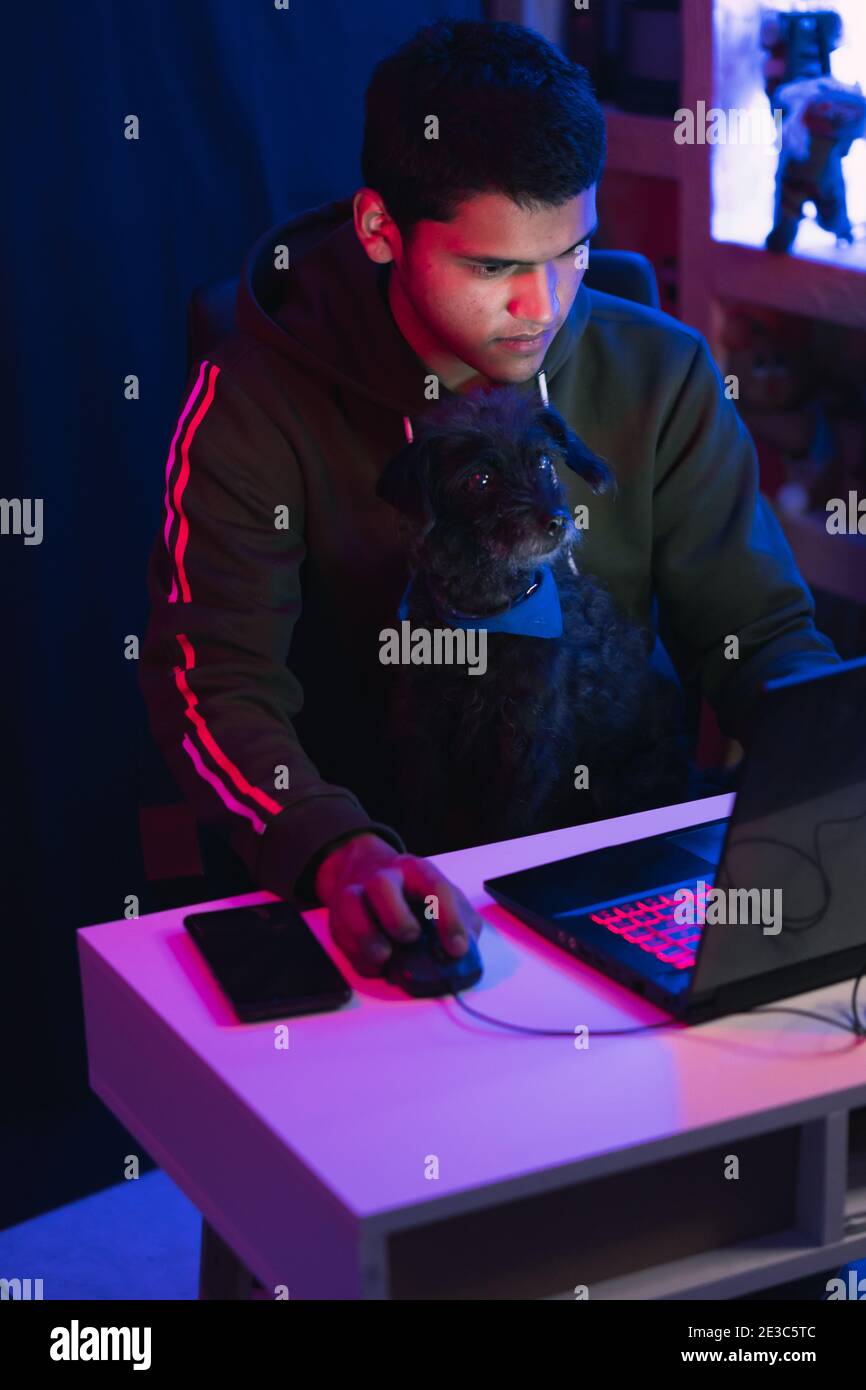 Lap dog hi hi-res stock photography and images - Alamy