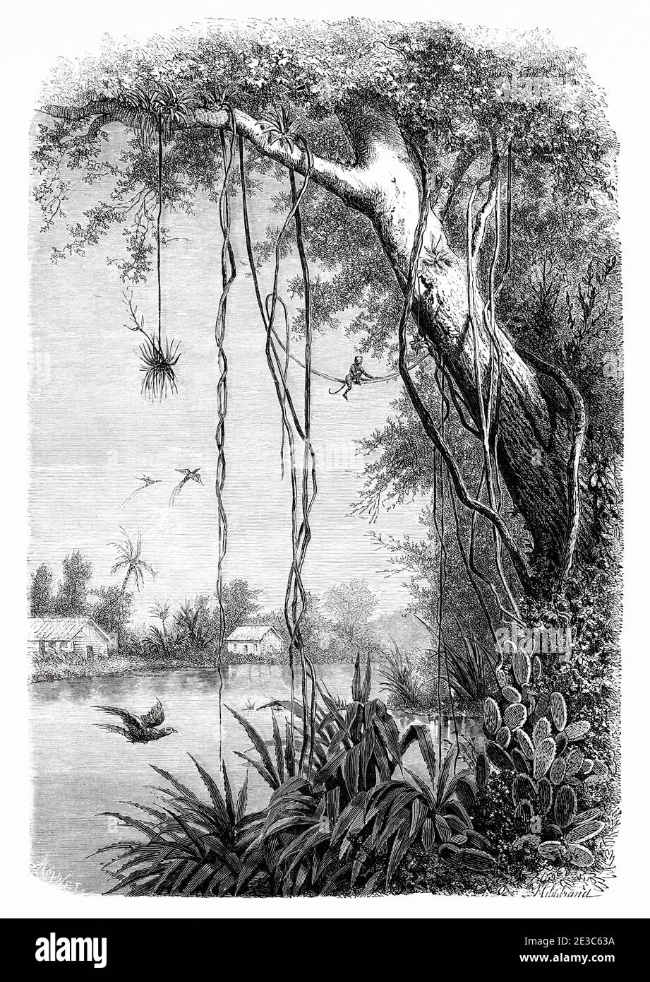 La river water Cut Out Stock Images & Pictures - Alamy