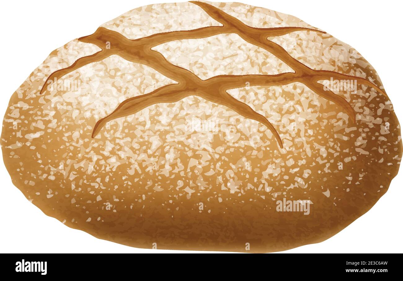 Round bread isolated on white background. Photo-realistic vector ...