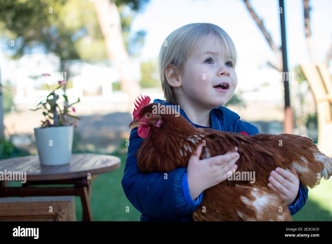 Cute smiling little boy holding a chicken in his hands Stock Photo - Alamy