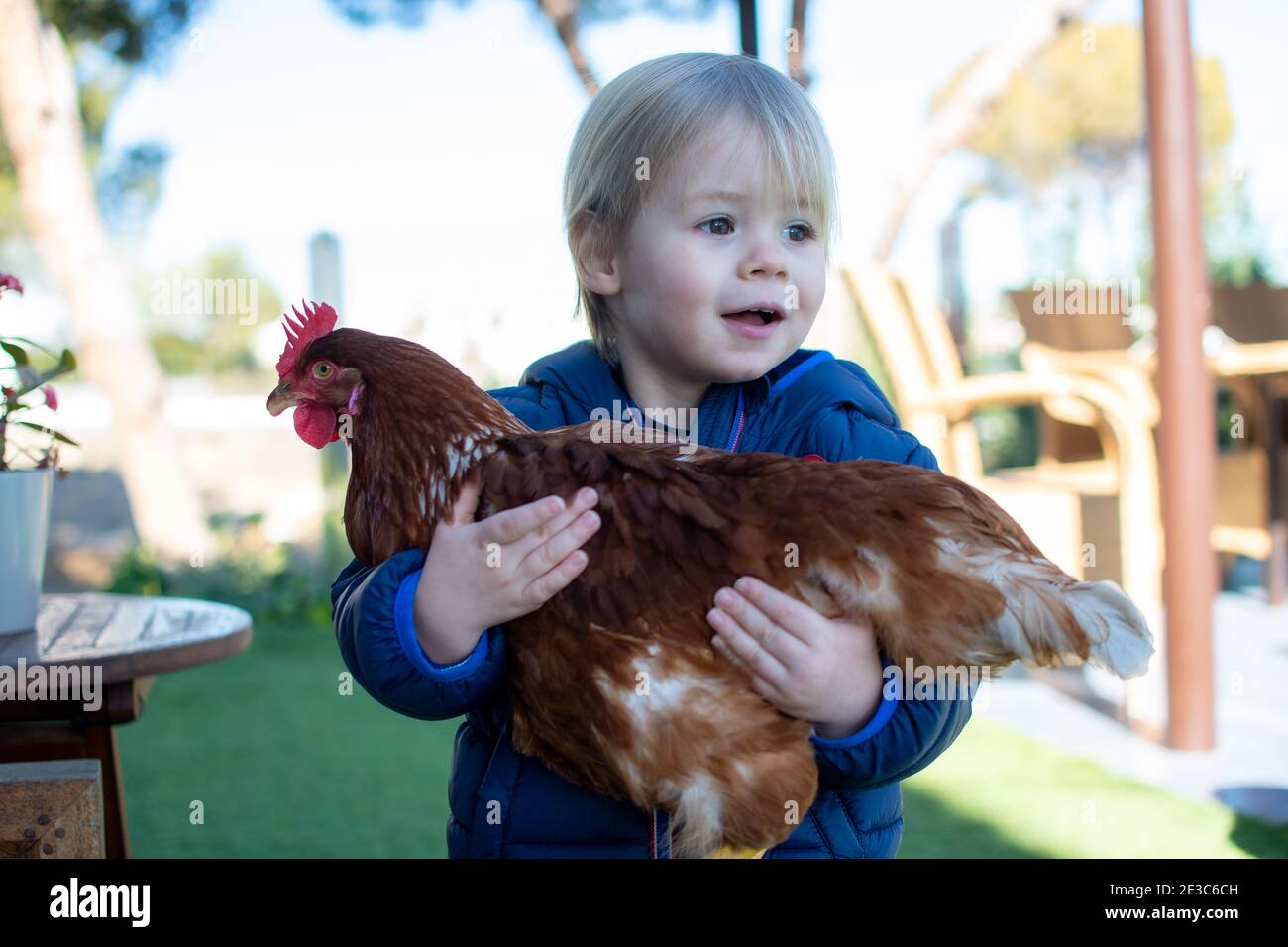 Cute smiling little boy holding a chicken in his hands Stock Photo - Alamy