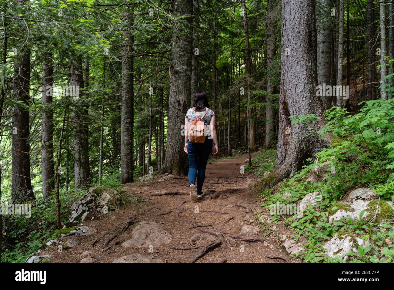 Female with a backpack on a hiking trail in the forest Stock Photo - Alamy