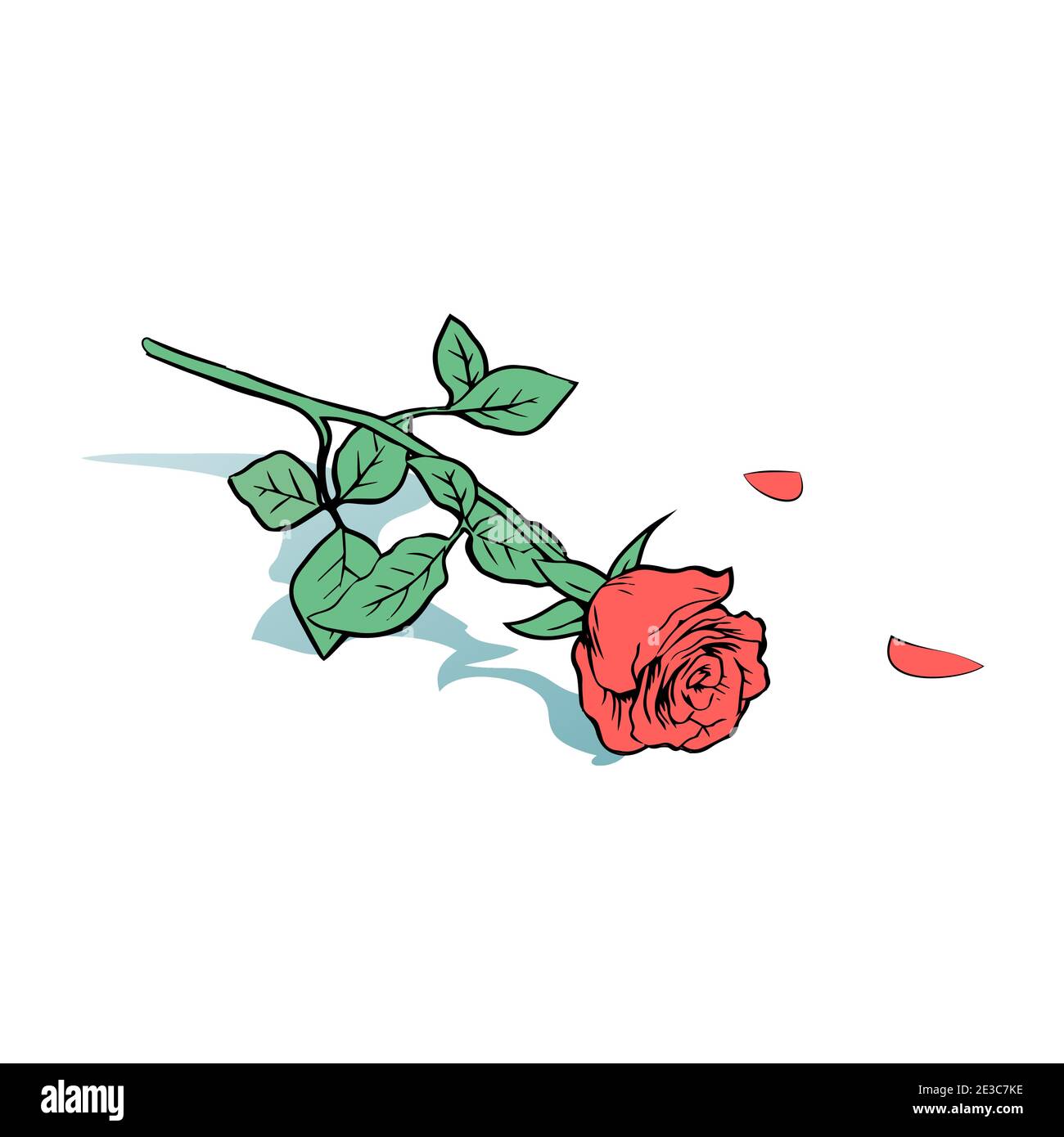 Thrown red rose on the floor. A rejected gift and unhappy love. Vector ...