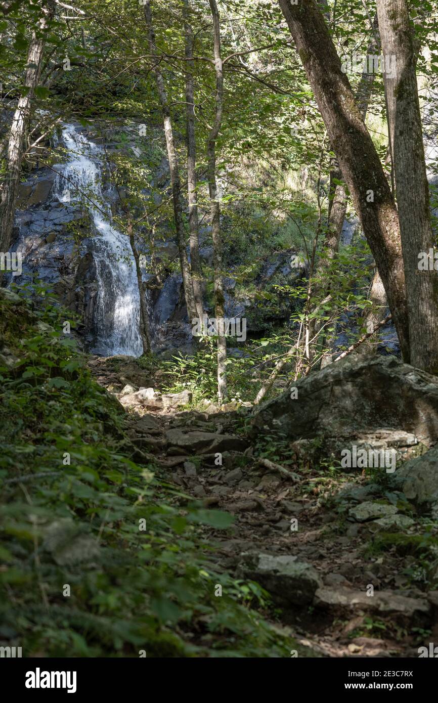Jones run falls hi-res stock photography and images - Alamy