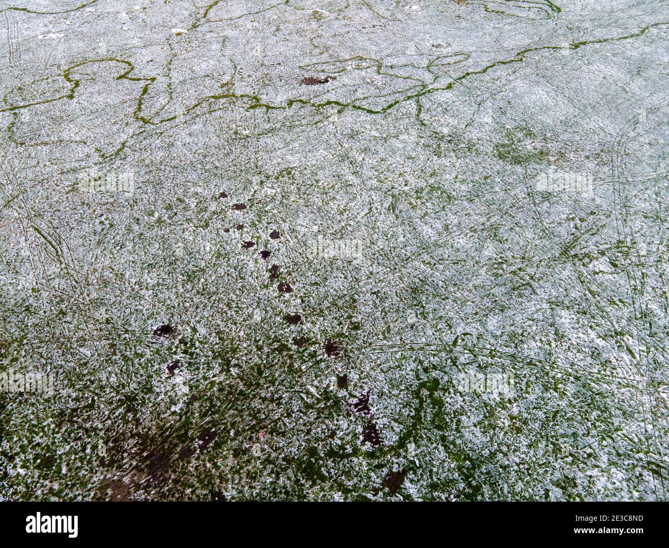 Sloterpark amsterdam amsterdam hi-res stock photography and images - Alamy