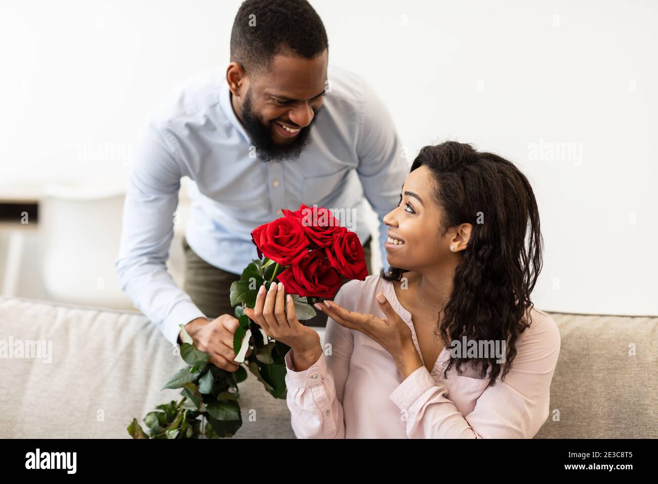 Beautiful young red roses hi-res stock photography and images - Alamy